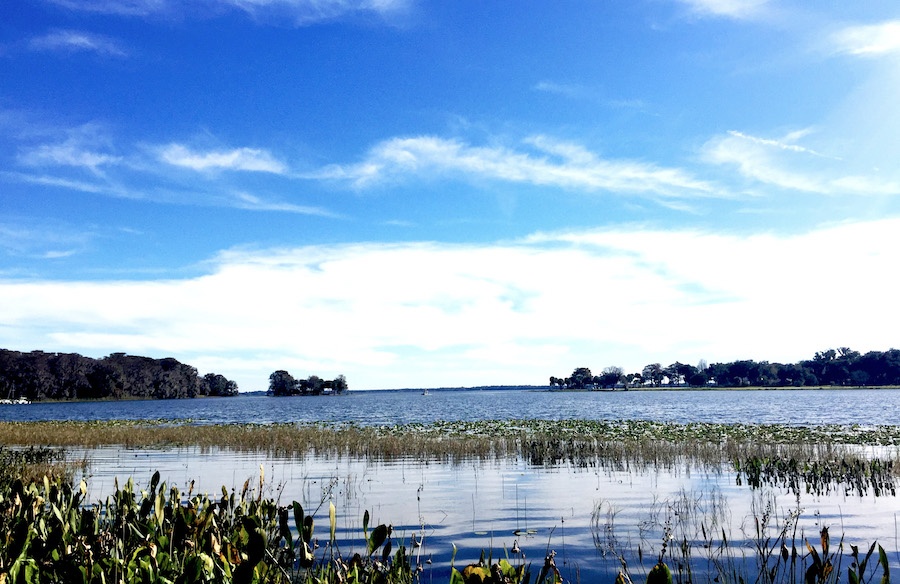 Leesburg, FL's Venetian Gardens - Then, Now, and What's to Come.