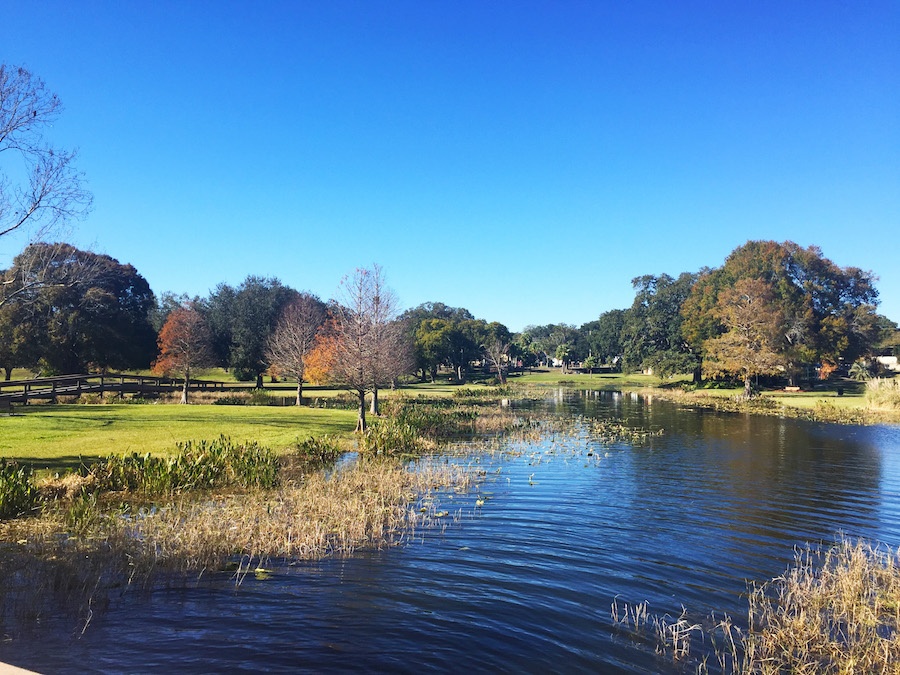 Leesburg, FL's Venetian Gardens - Then, Now, and What's to Come.