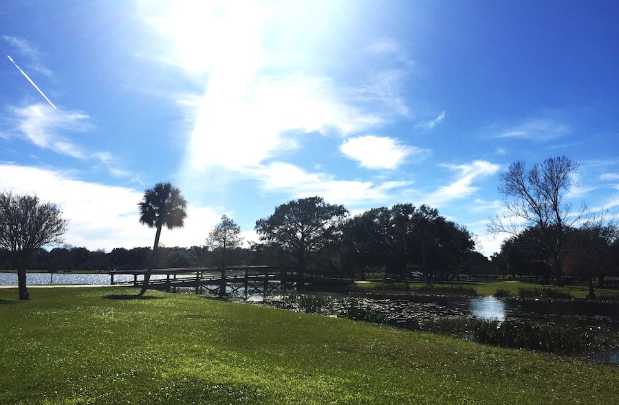 Leesburg, FL's Venetian Gardens - Then, Now, and What's to Come.
