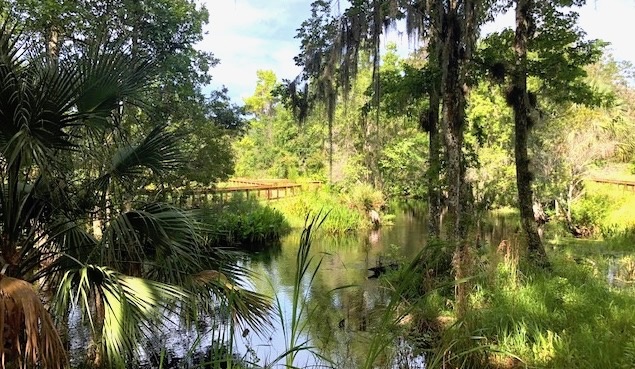 The Village of Fenney: Tranquility & Top Real Estate in The Villages, FL