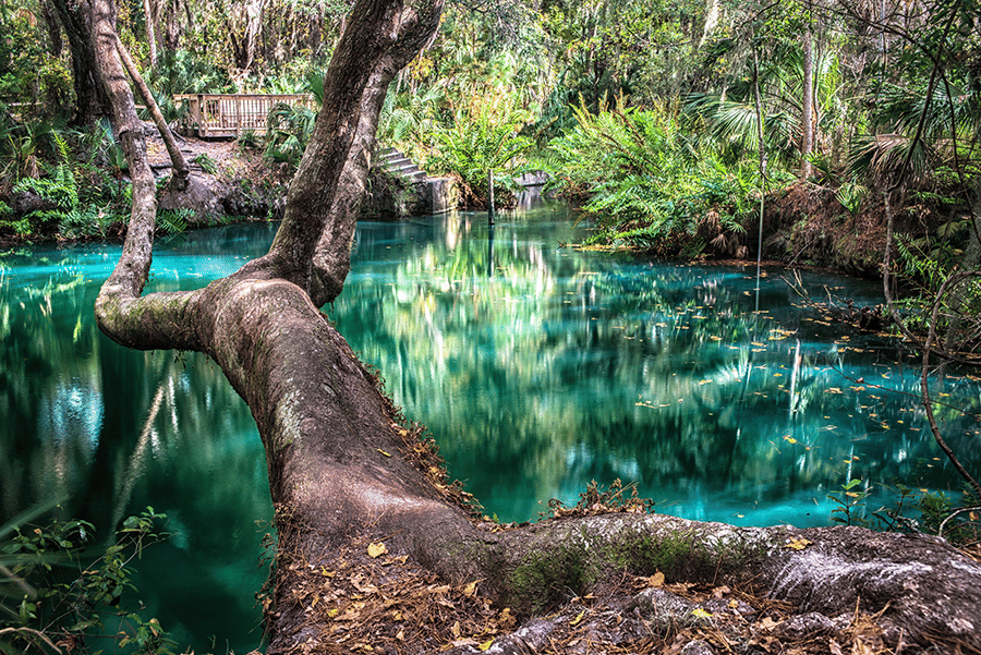 How to Live an Active Lifestyle Among Volusia County's Natural Beauty