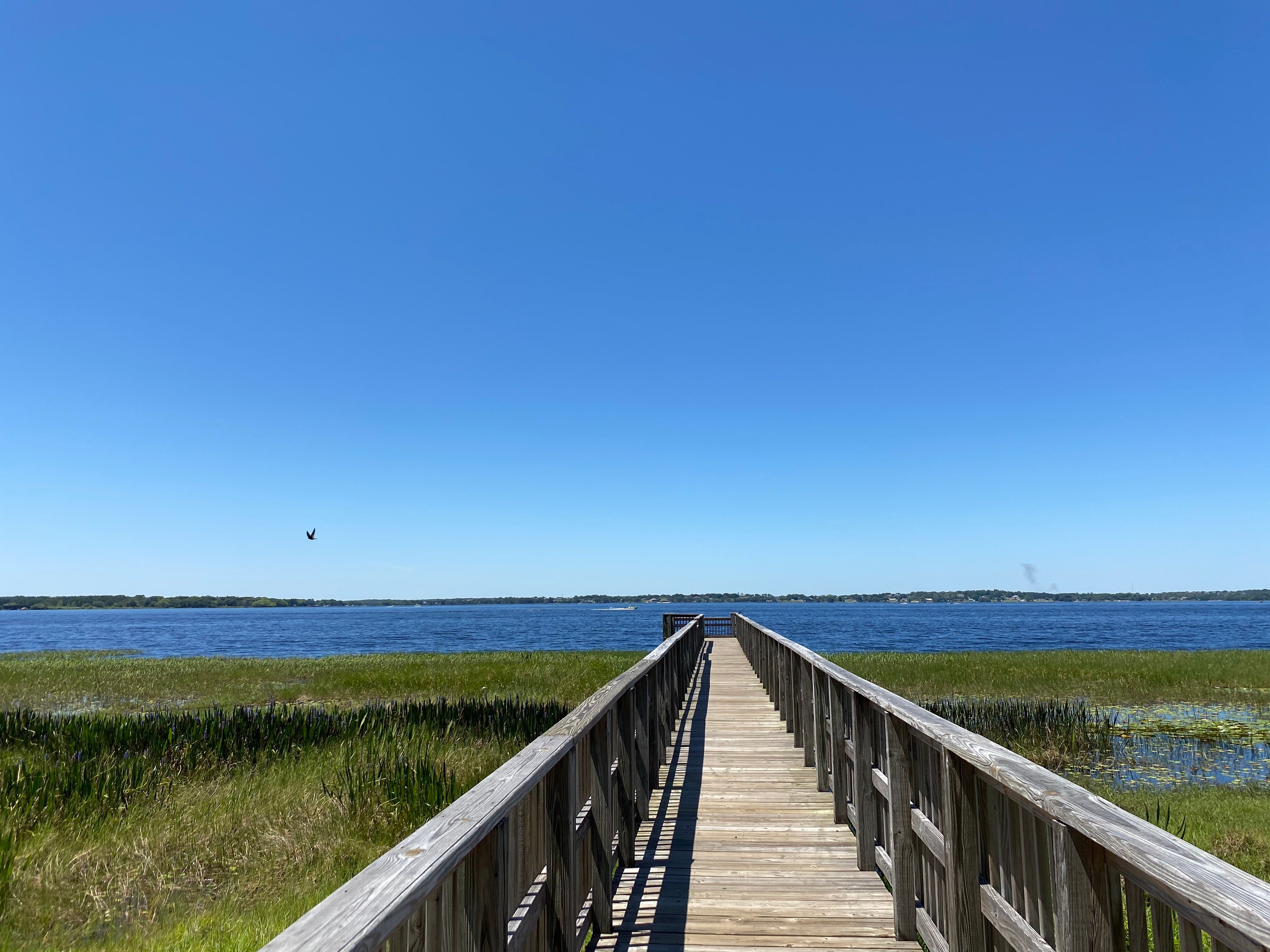 Explore True Florida Nature in Clermont - Trails, Lakes, Parks & More