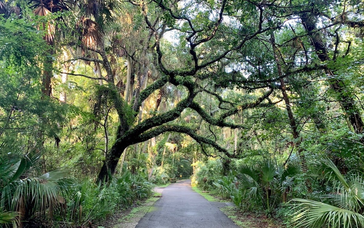 Your Guide to Traveling FL's Scenic Byways in & around Volusia County