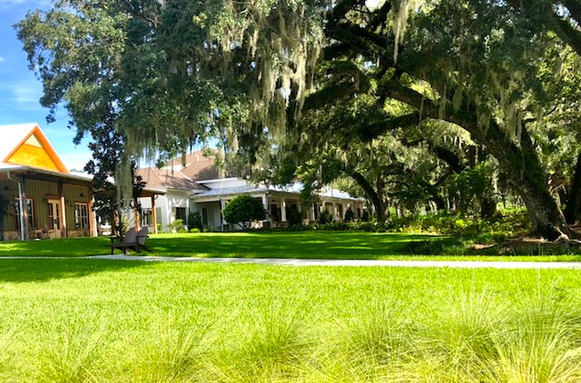 The Village of Fenney: Tranquility & Top Real Estate in The Villages, FL